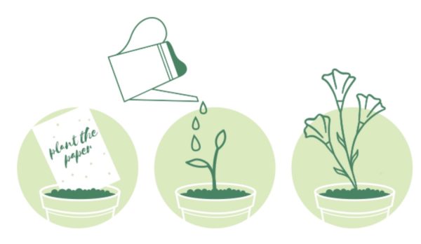 Botanical PaperWorks - Plantable Seed Paper