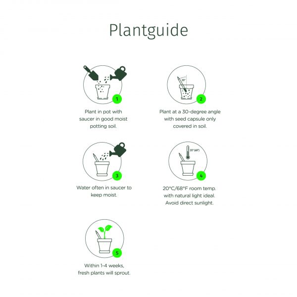 SproutWorld Plantable Pencil