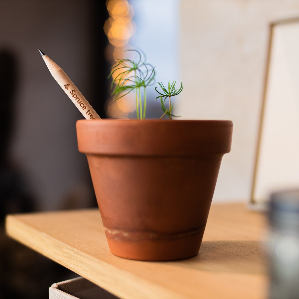 SproutWorld Plantable Pencil